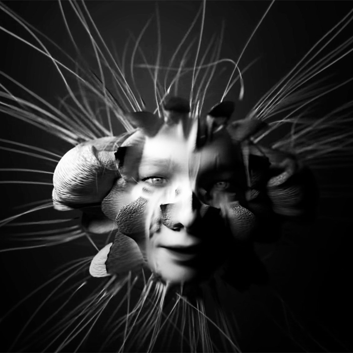 15 Expressive Music Videos To Capture Your Imagination – PLAYY. Magazine